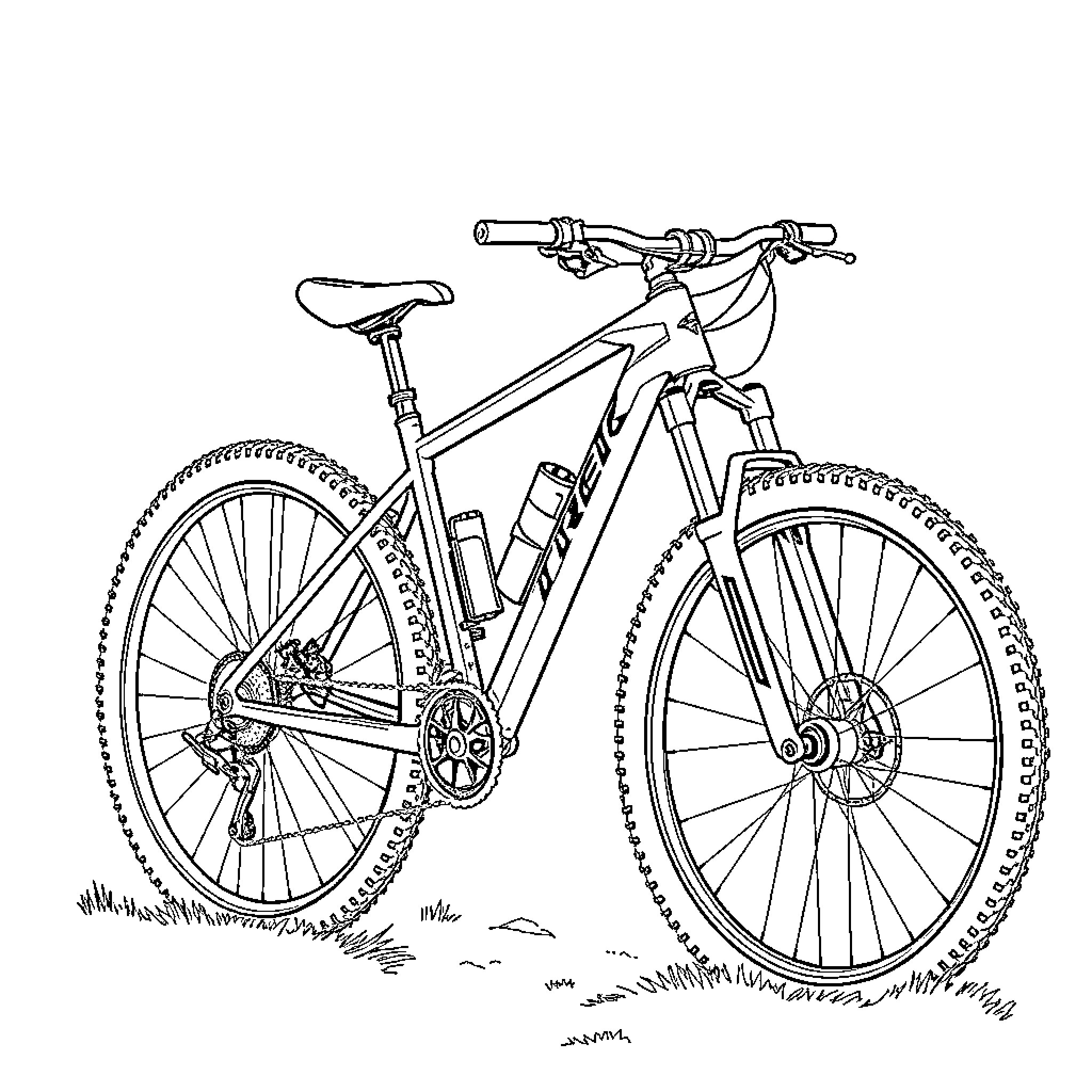 Best Stewey Coloring Pages (Free Printable PDF)