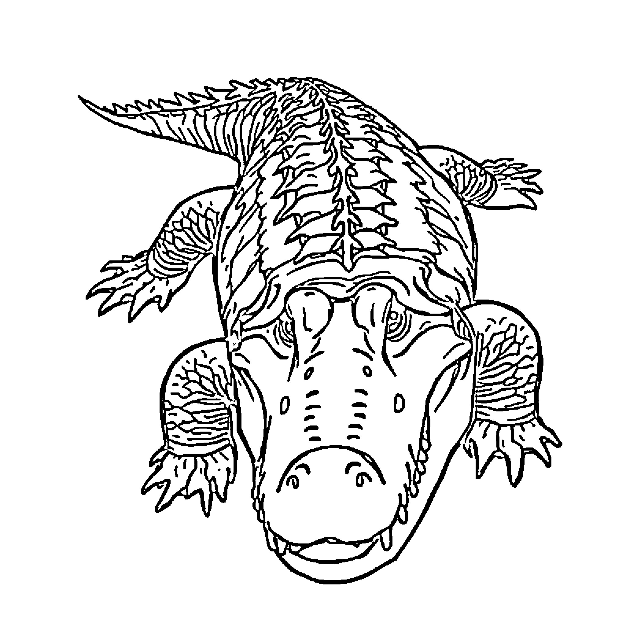 Best Crocodile Coloring Pages (Free Printable PDF)