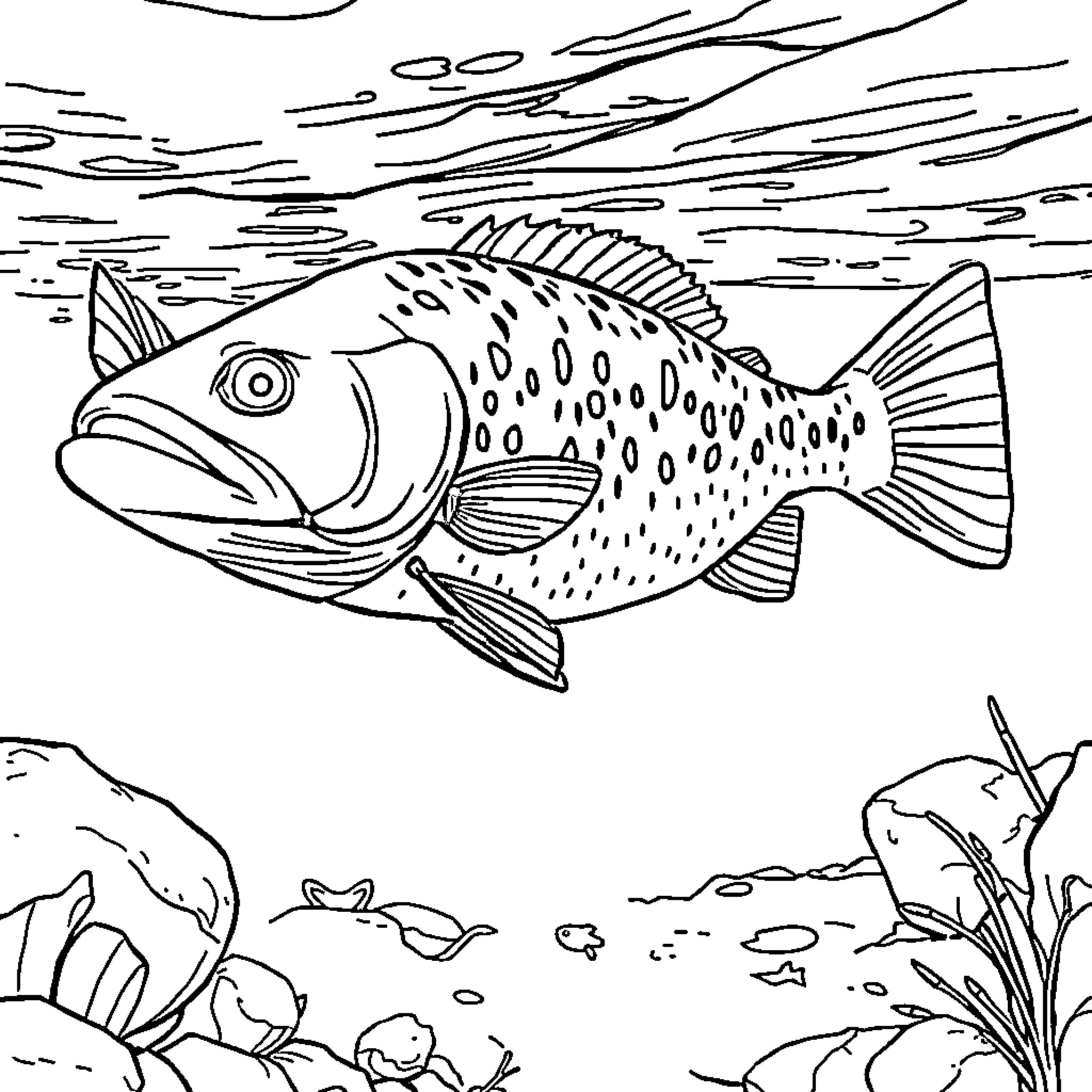 Best Tribore Coloring Pages (Free Printable PDF)