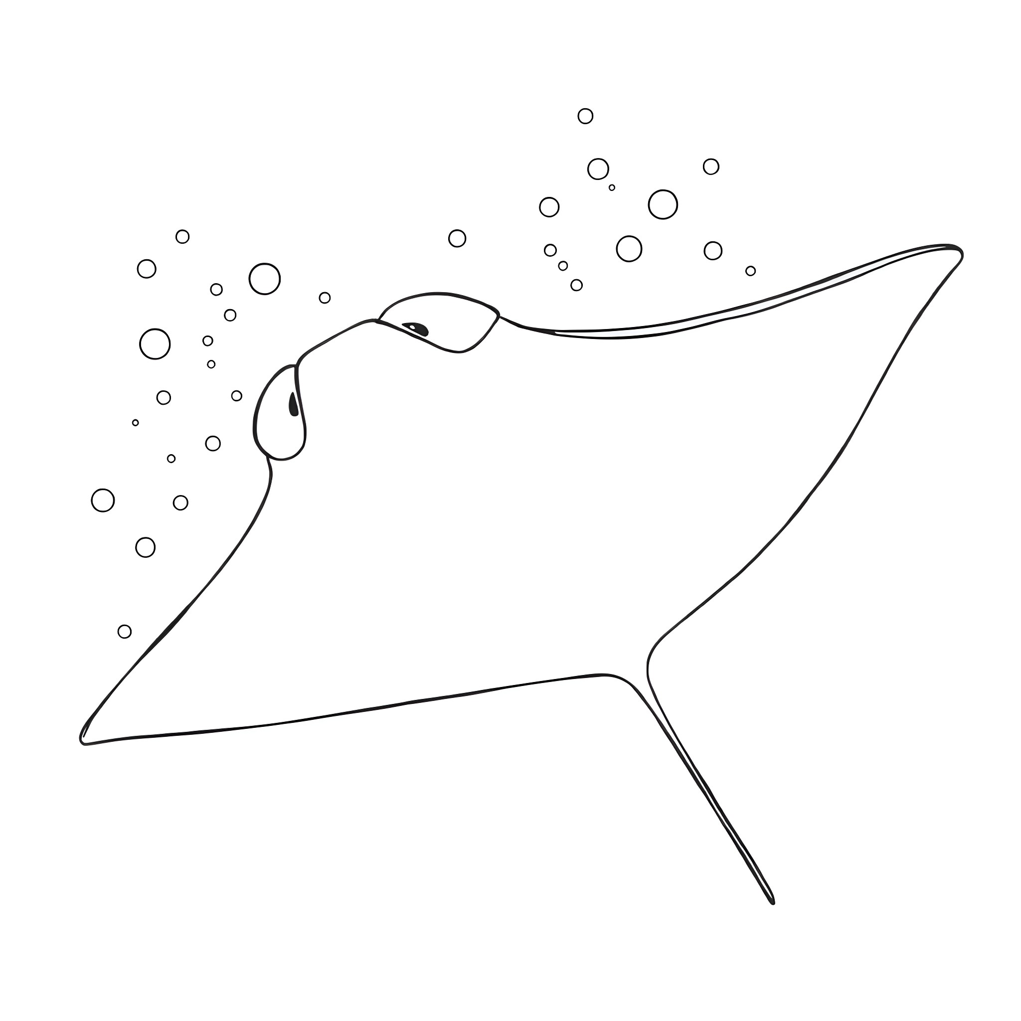 Best Manta Ray Coloring Pages (Free Printable PDF)