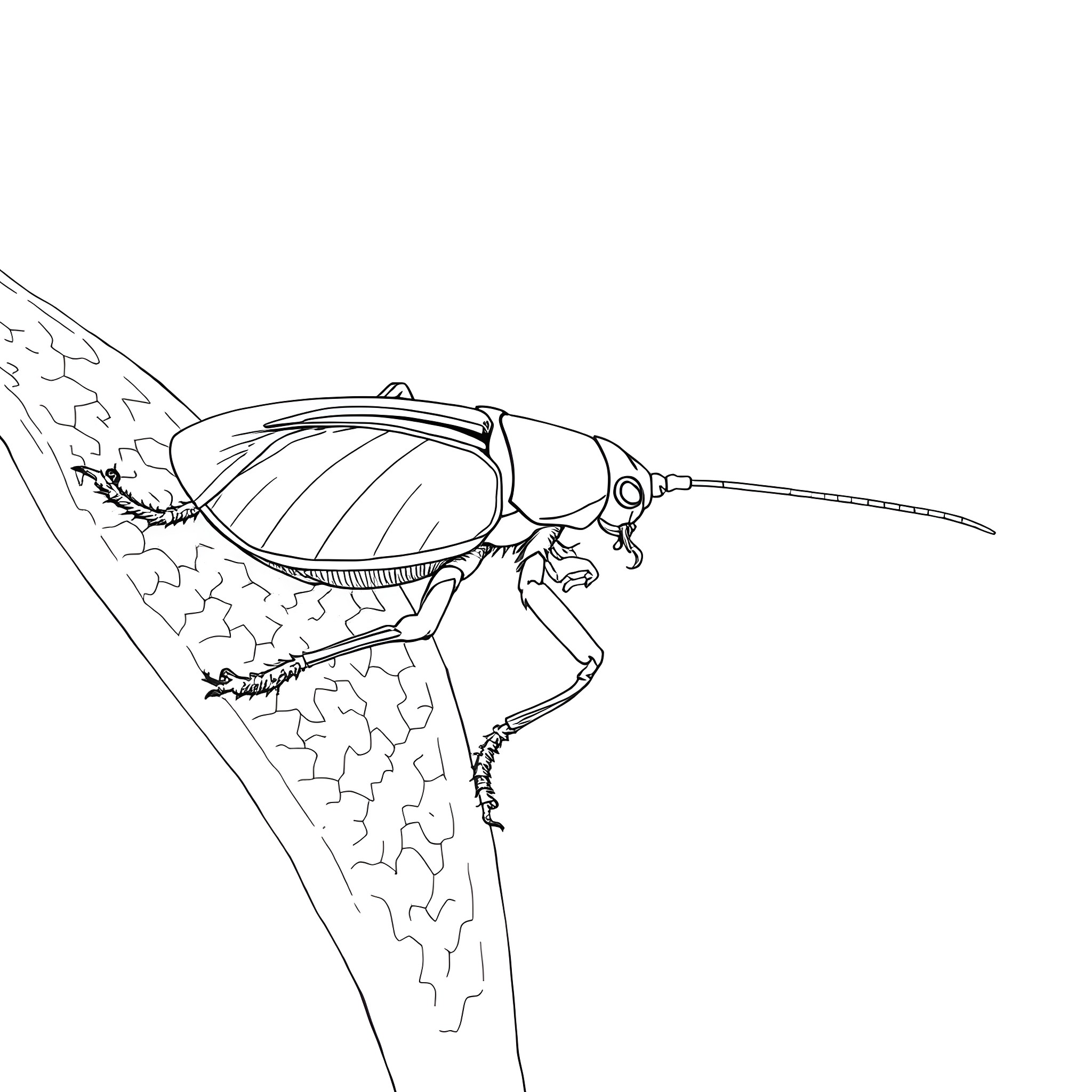 54 Best Cockroach Coloring Pages (Free Printable PDFs)