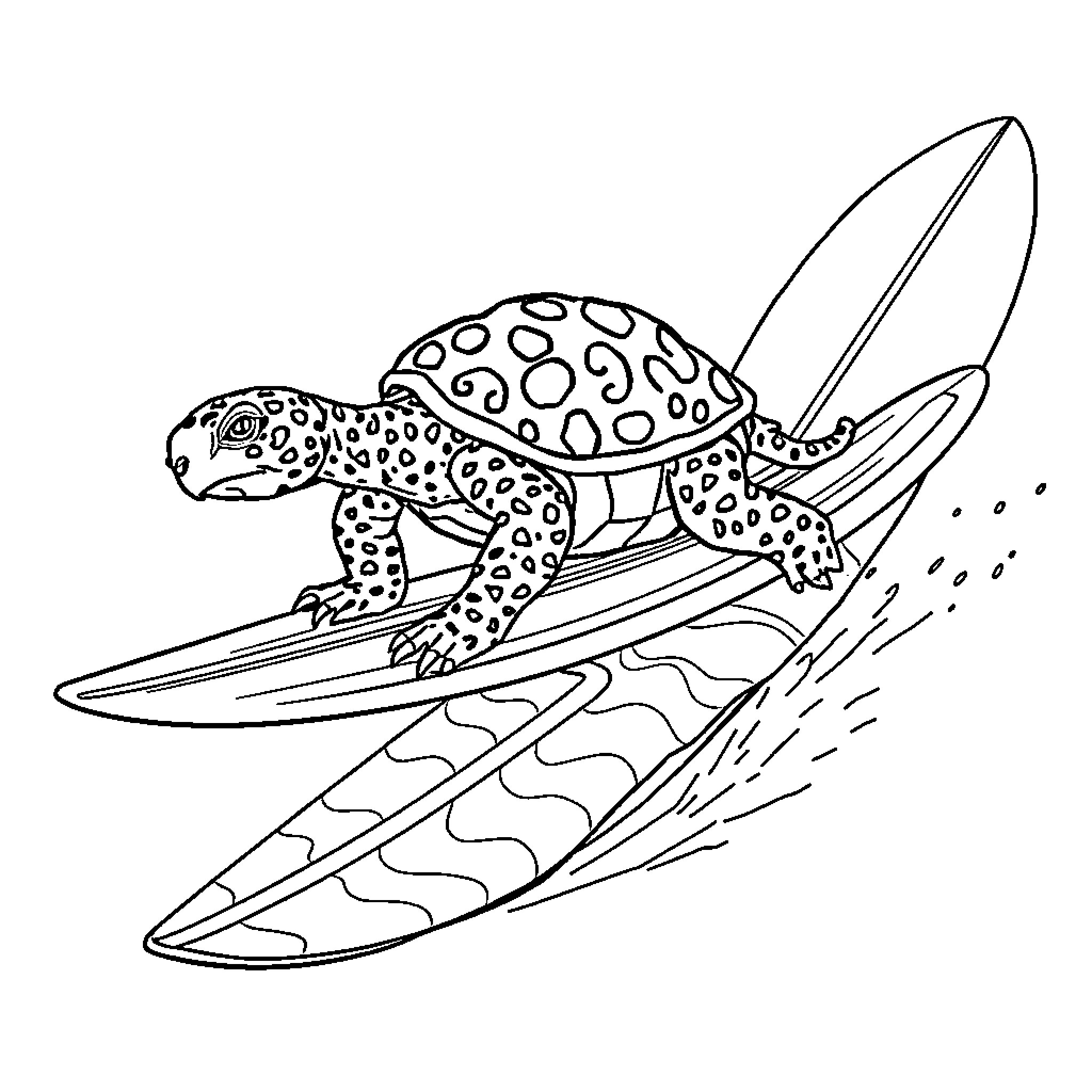 Best Tortoise Coloring Pages (Free Printable PDF)
