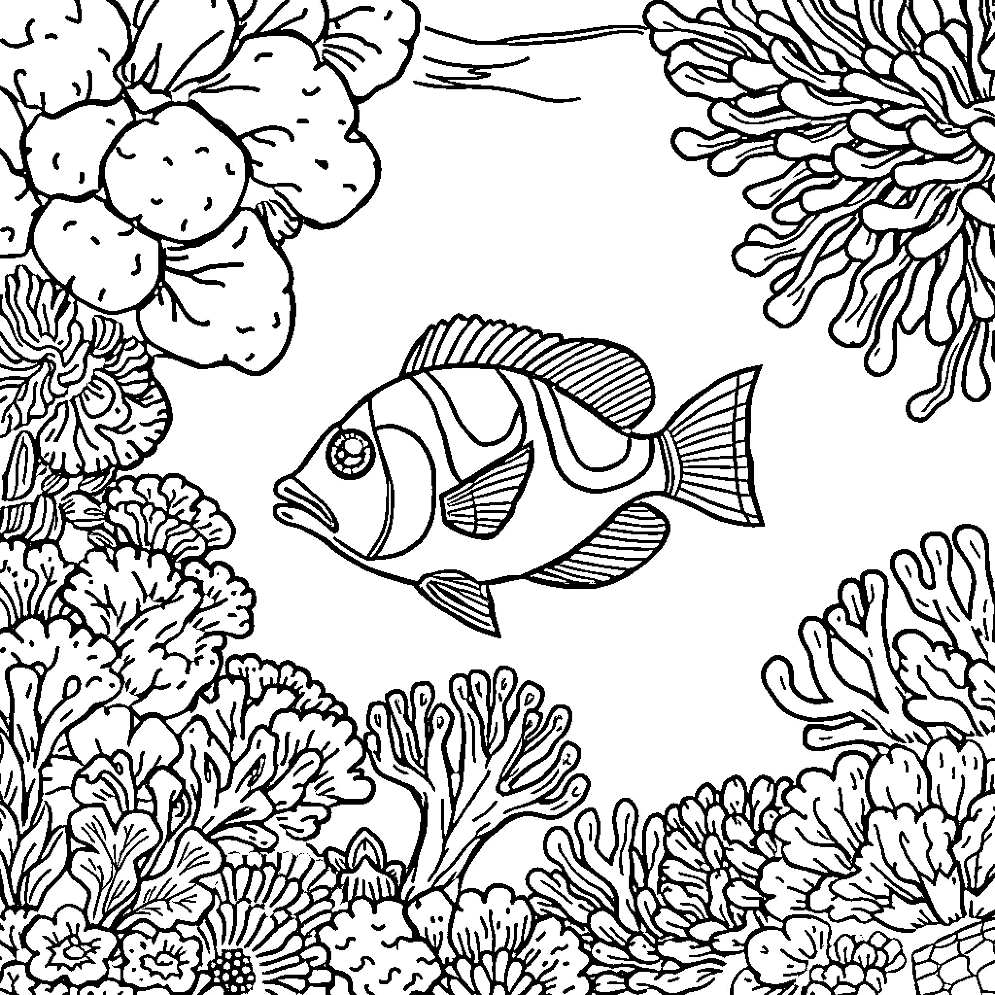 Best Damselfish Coloring Pages (Free Printable PDF)