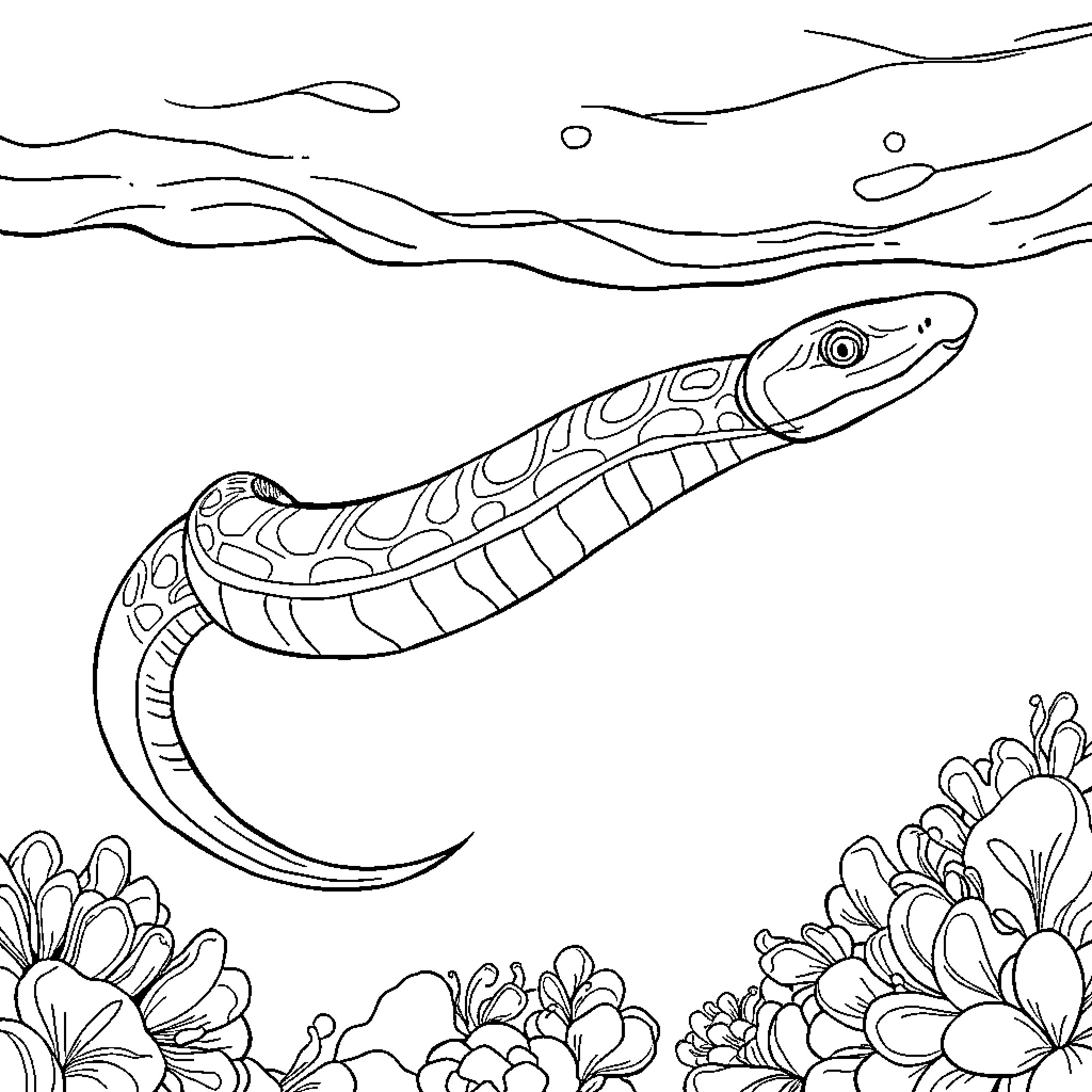 Best Sea Snake Coloring Pages (Free Printable PDF)