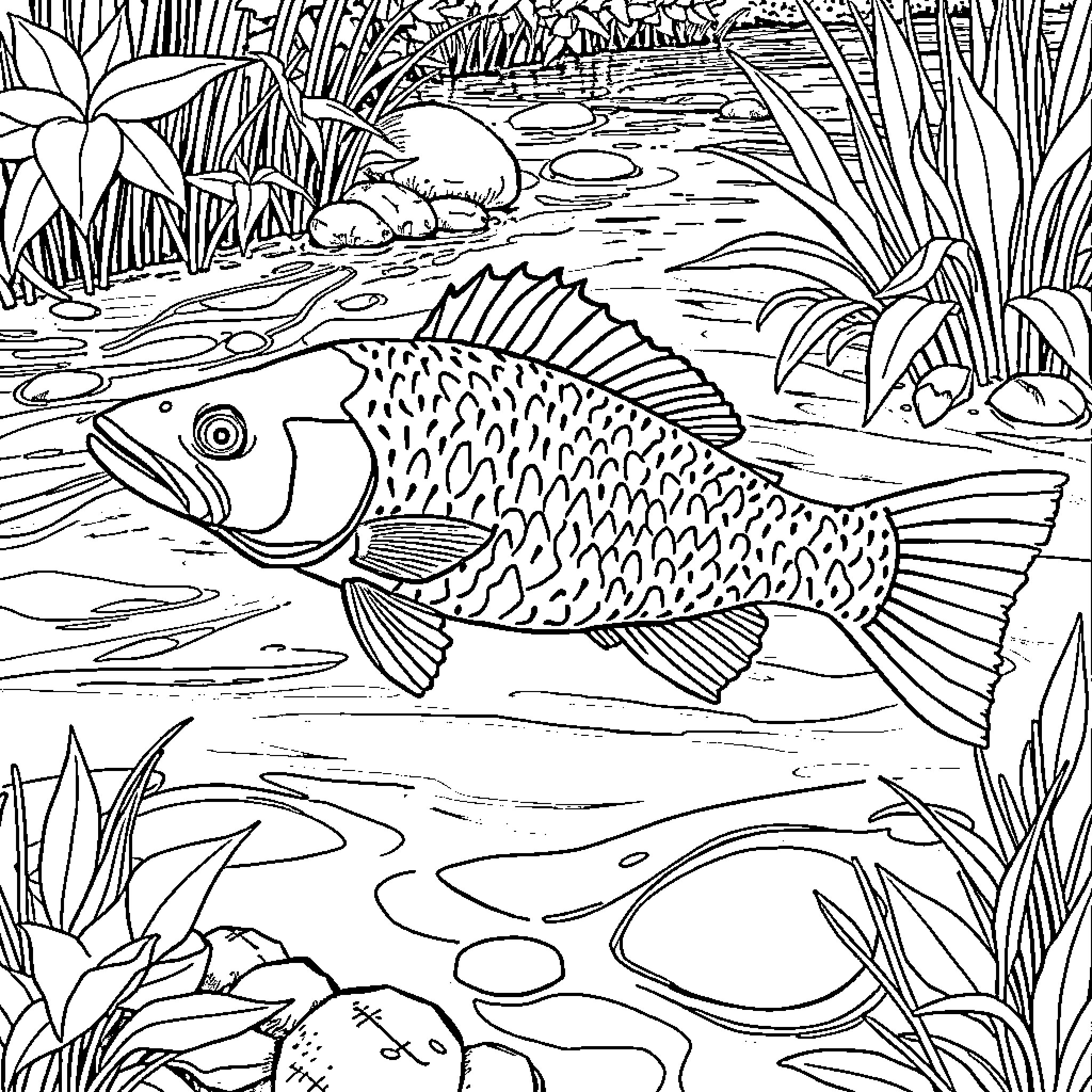 Best Tribore Coloring Pages (Free Printable PDF)