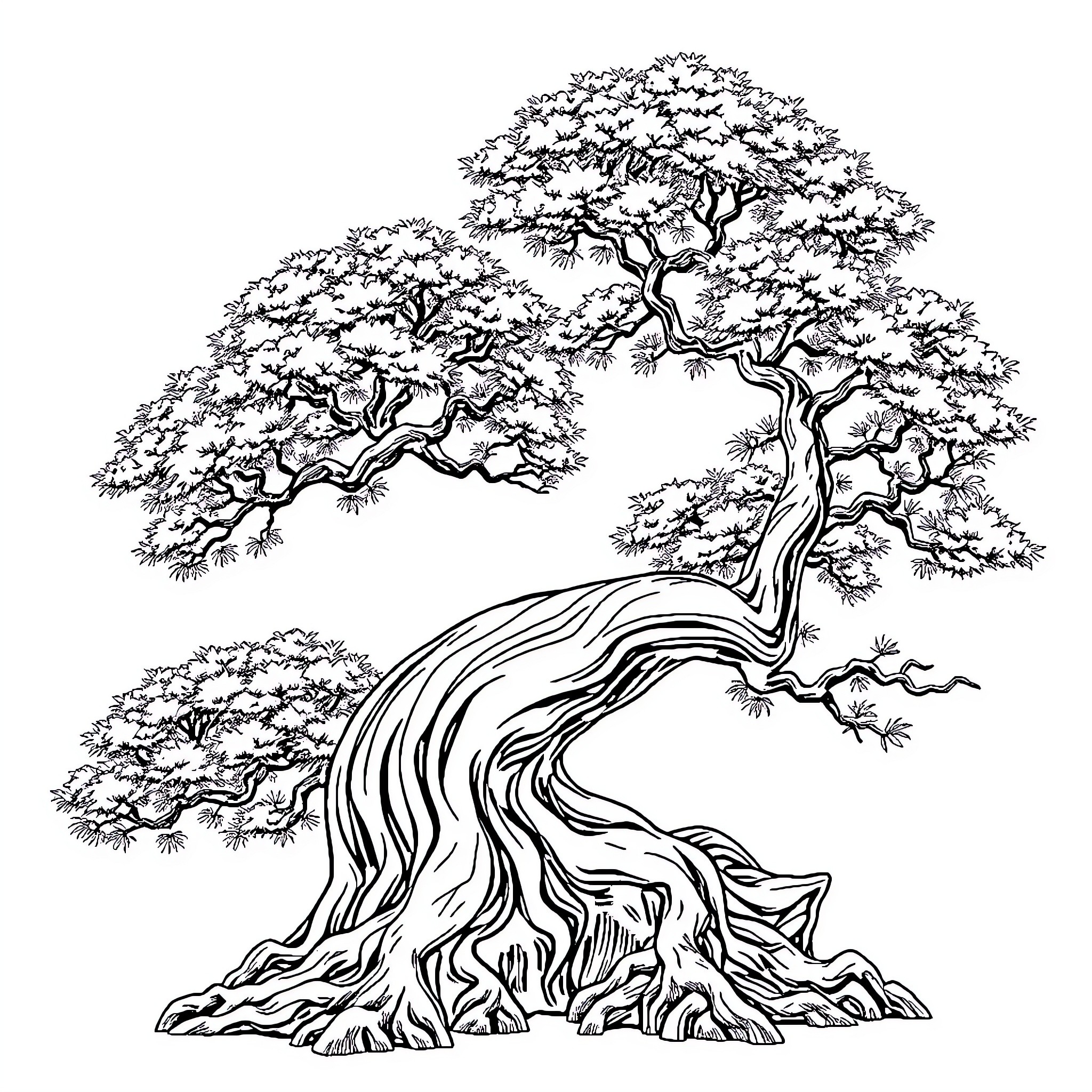 Best Bonsai Coloring Pages (Free Printable PDF)