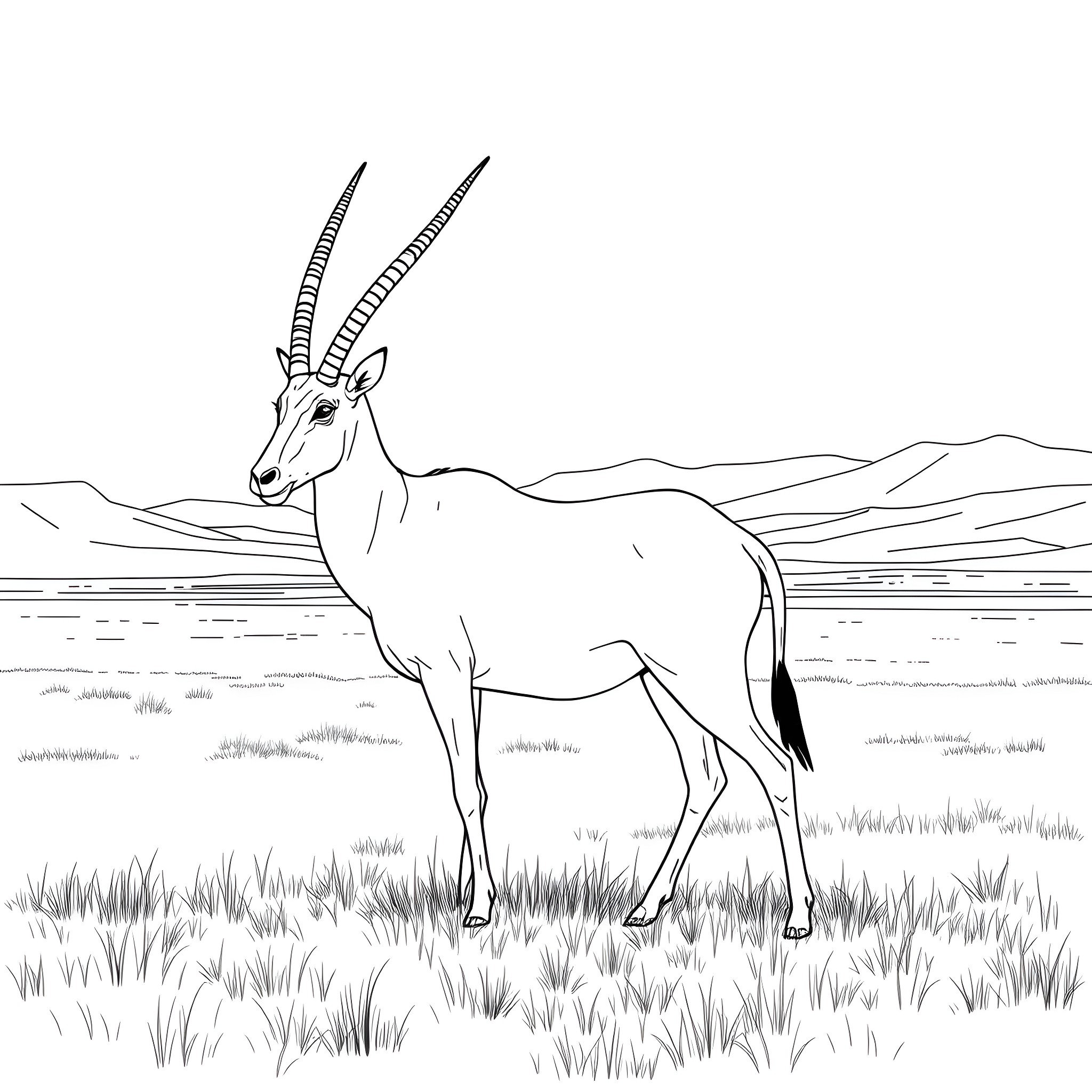 Best Oryx Coloring Pages (Free Printable PDF)