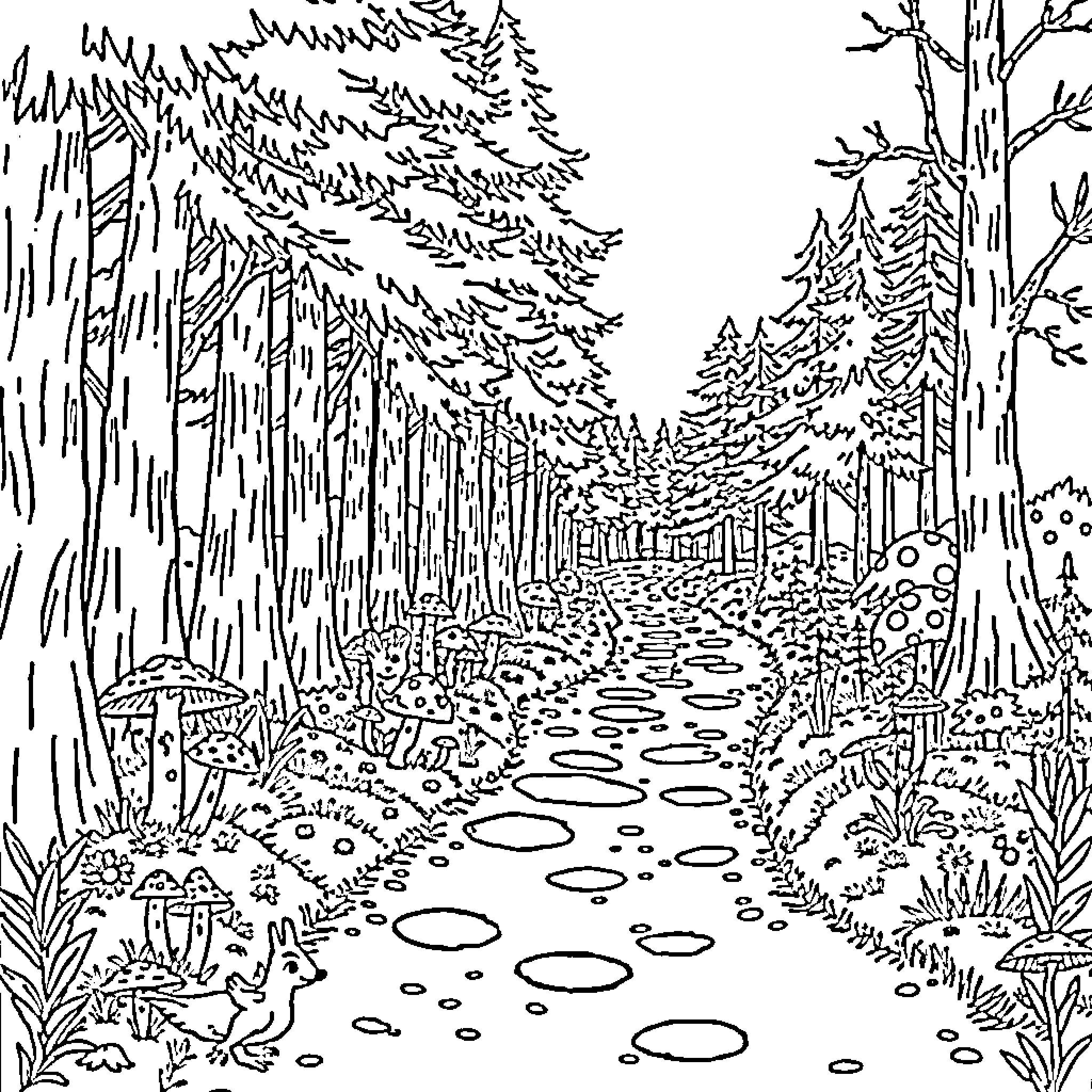 Best Woodland Path Coloring Pages (Free Printable PDF)