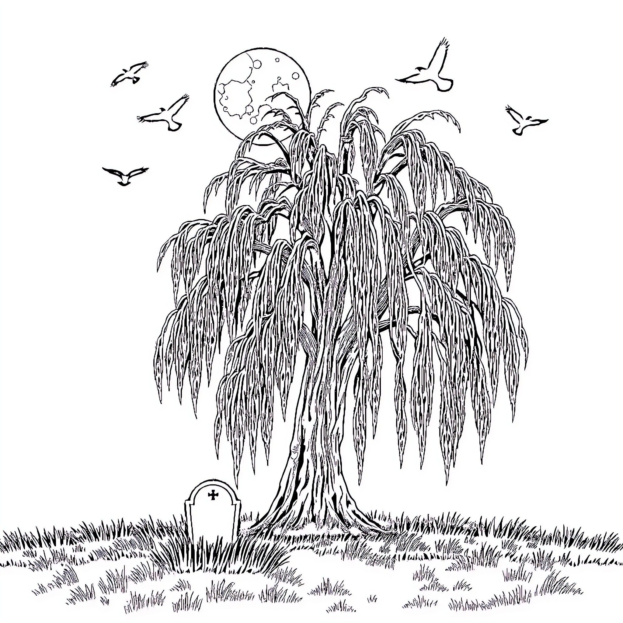 7 Best Willow Tree Coloring Pages (Free Printable PDFs)
