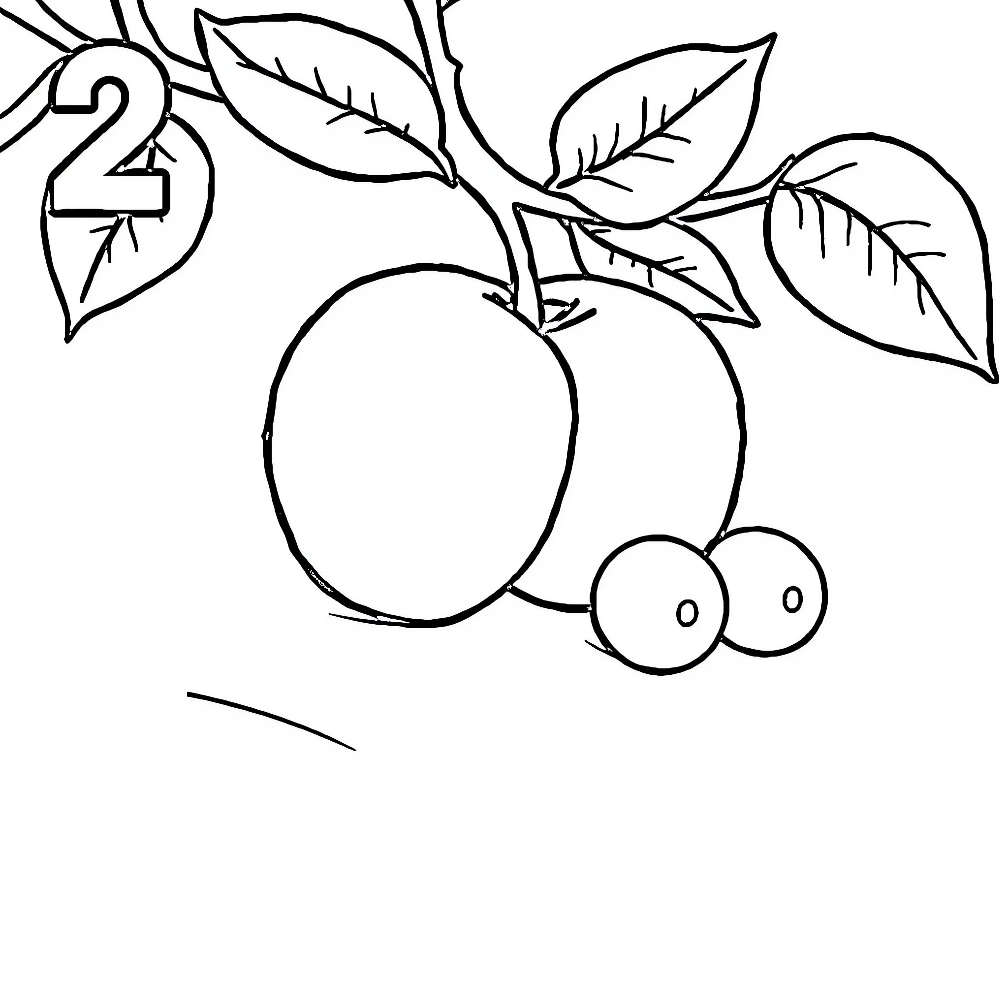 Best Ray Allen Coloring Pages (Free Printable PDF)