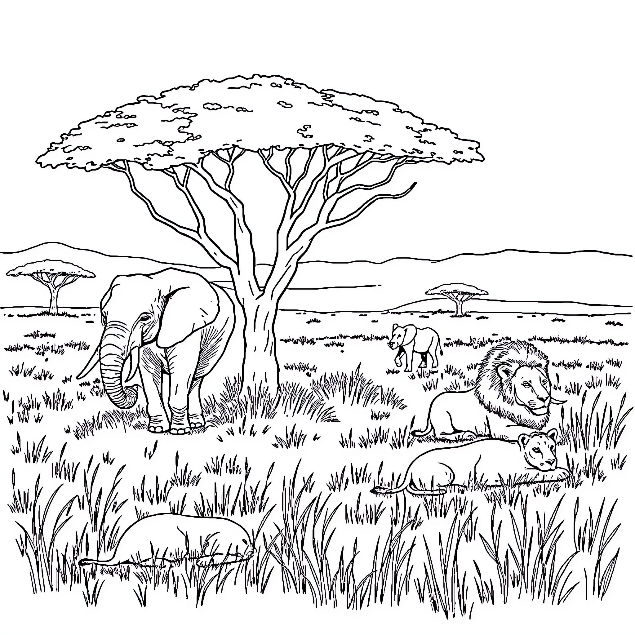 Best Trap Coloring Pages (Free Printable PDF)