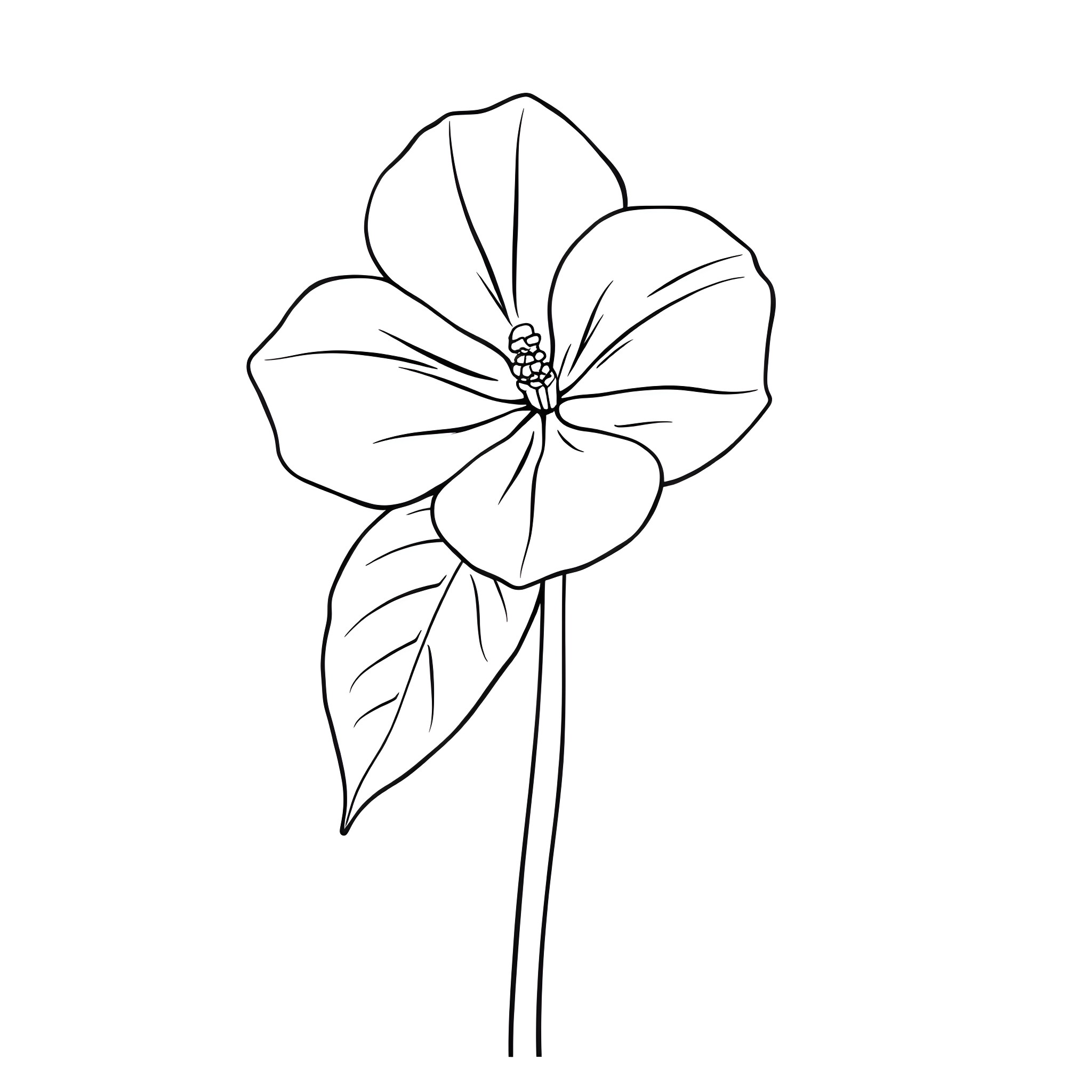 Best Impatien Coloring Pages (Free Printable PDF)