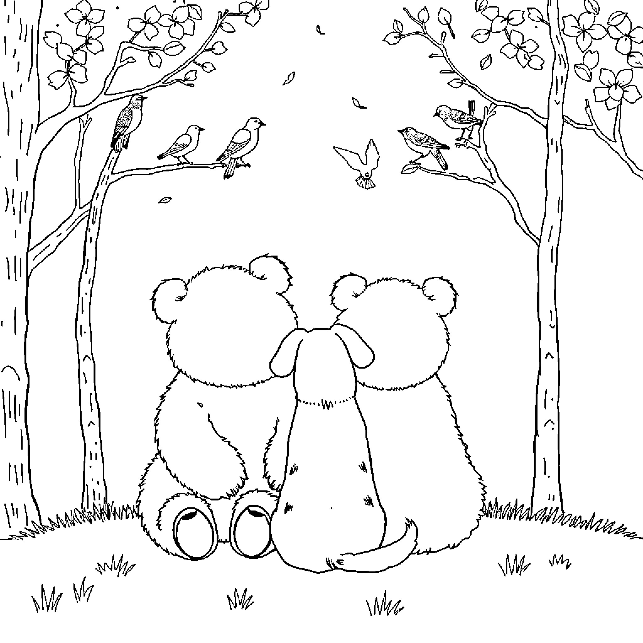 Best Bear Coloring Pages (Free Printable PDF)