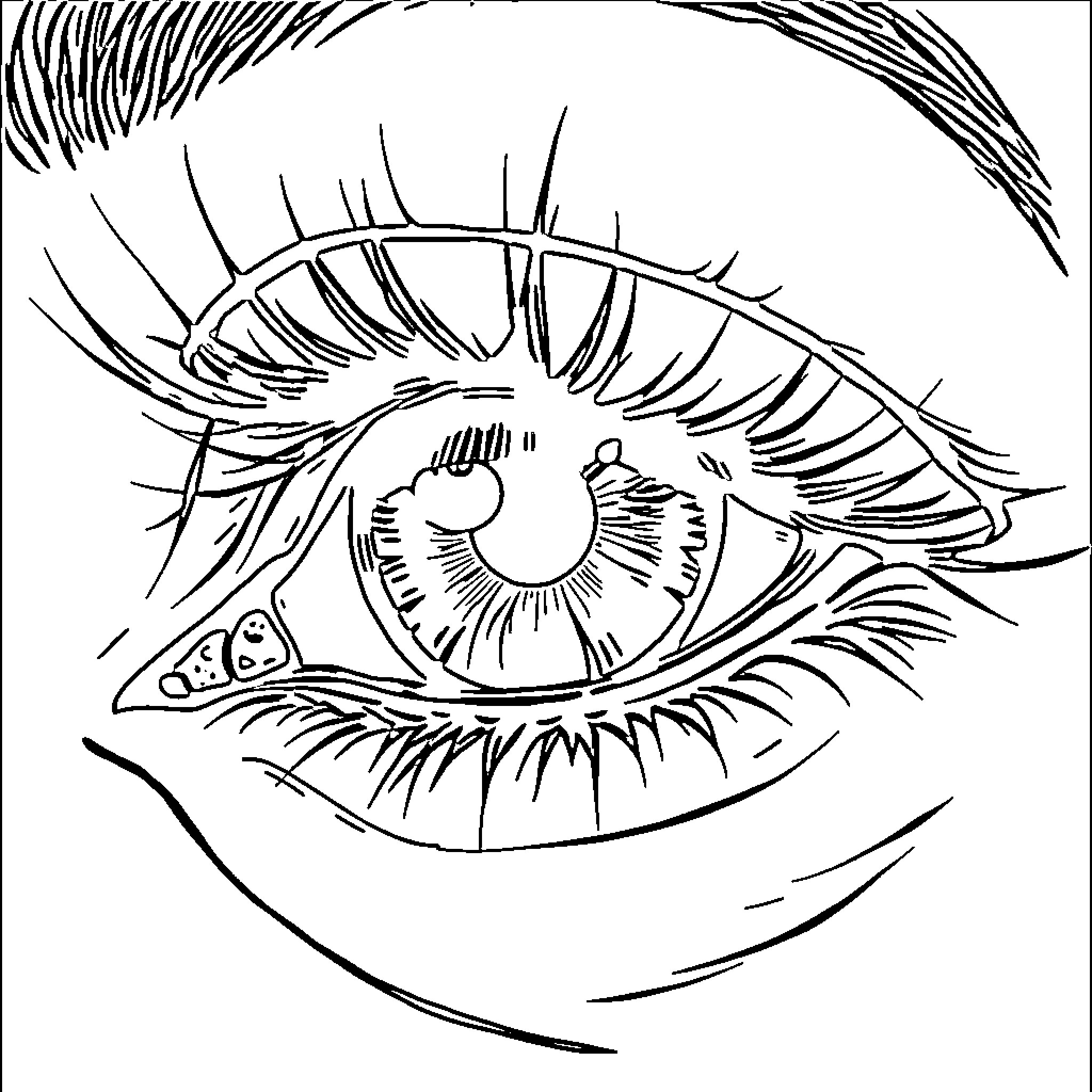 Best Eye Coloring Pages (Free Printable PDF)
