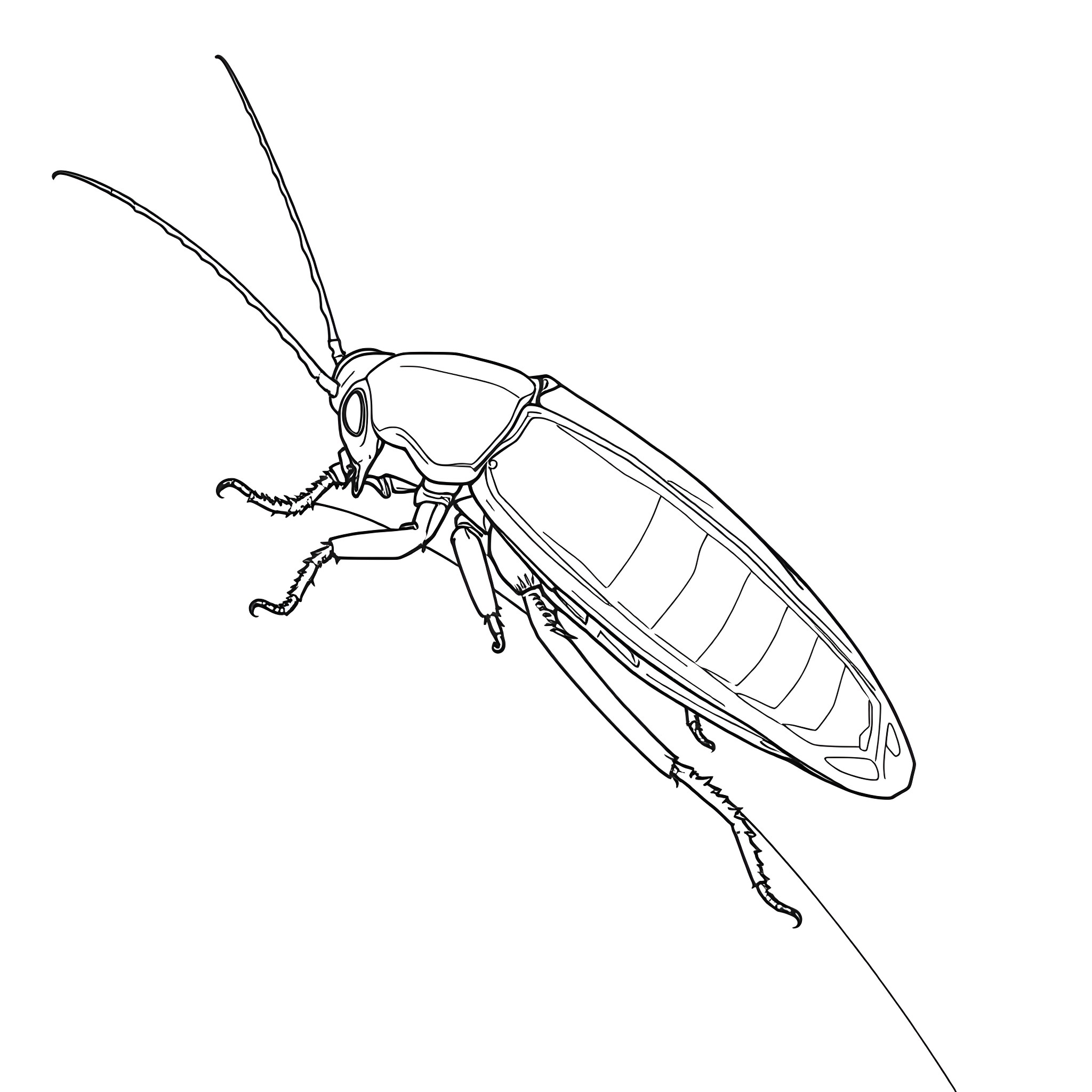 54 Best Cockroach Coloring Pages (Free Printable PDFs)