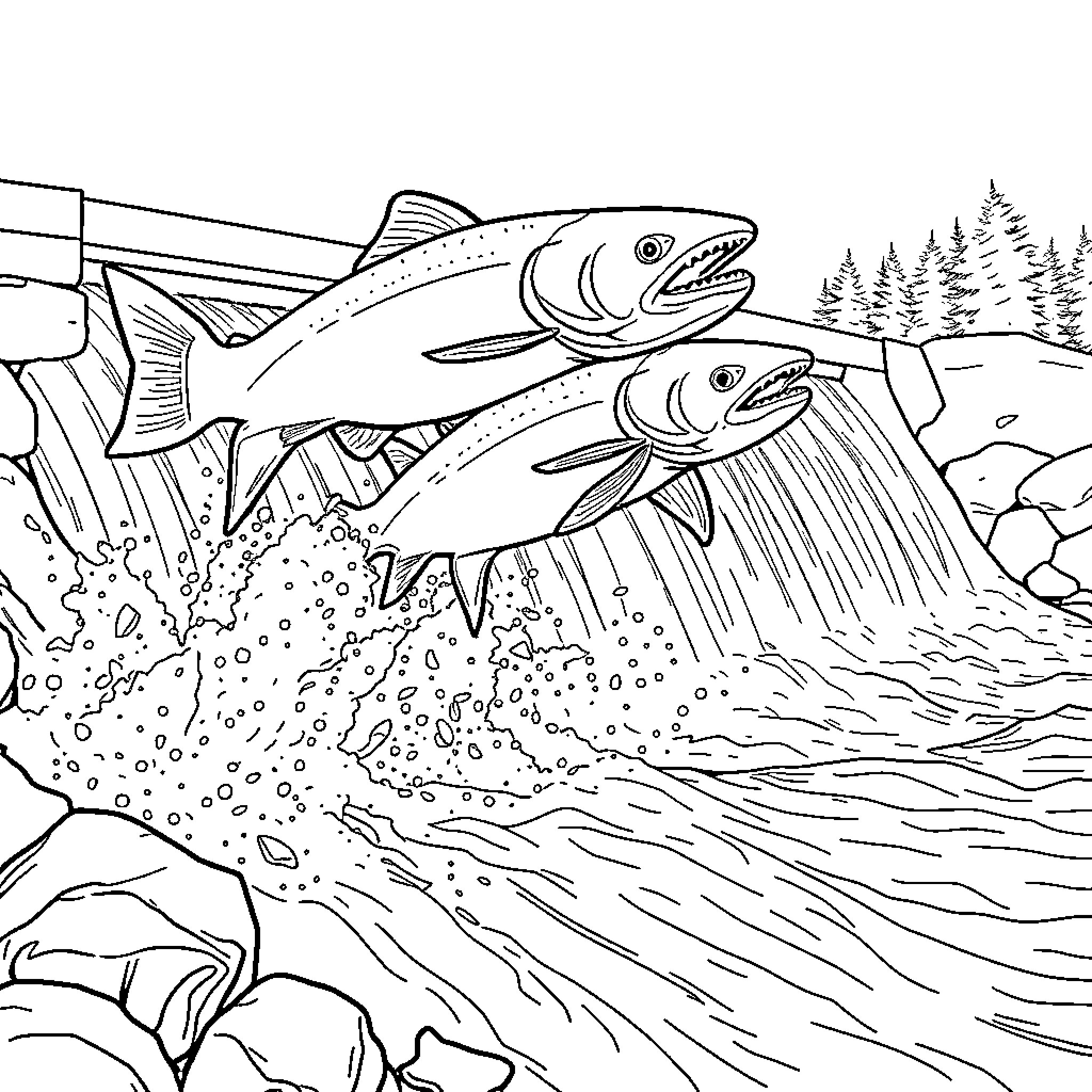 Best Salmon Coloring Pages (Free Printable PDF)