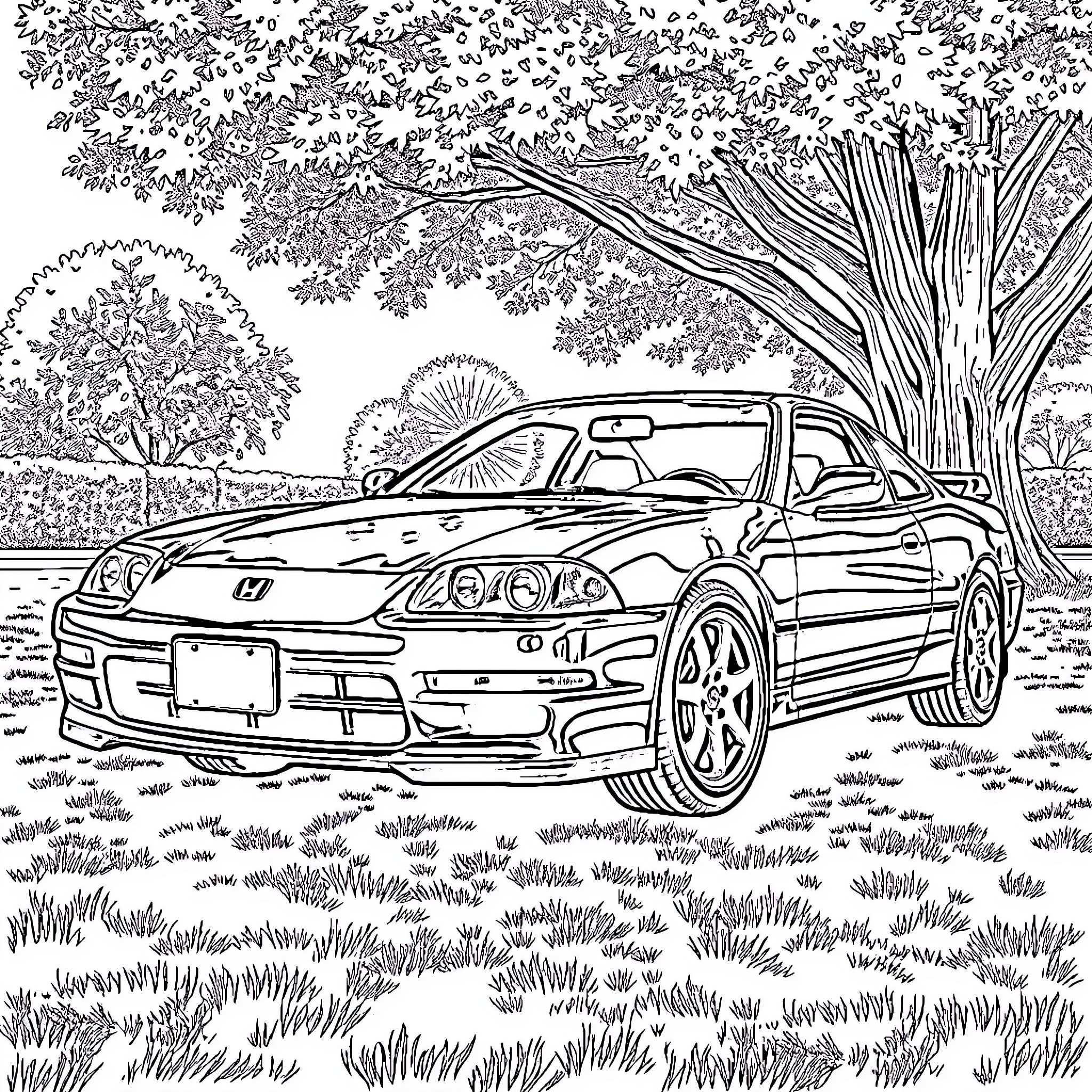 Best Los Angeles Rams Coloring Pages (Free Printable PDF)