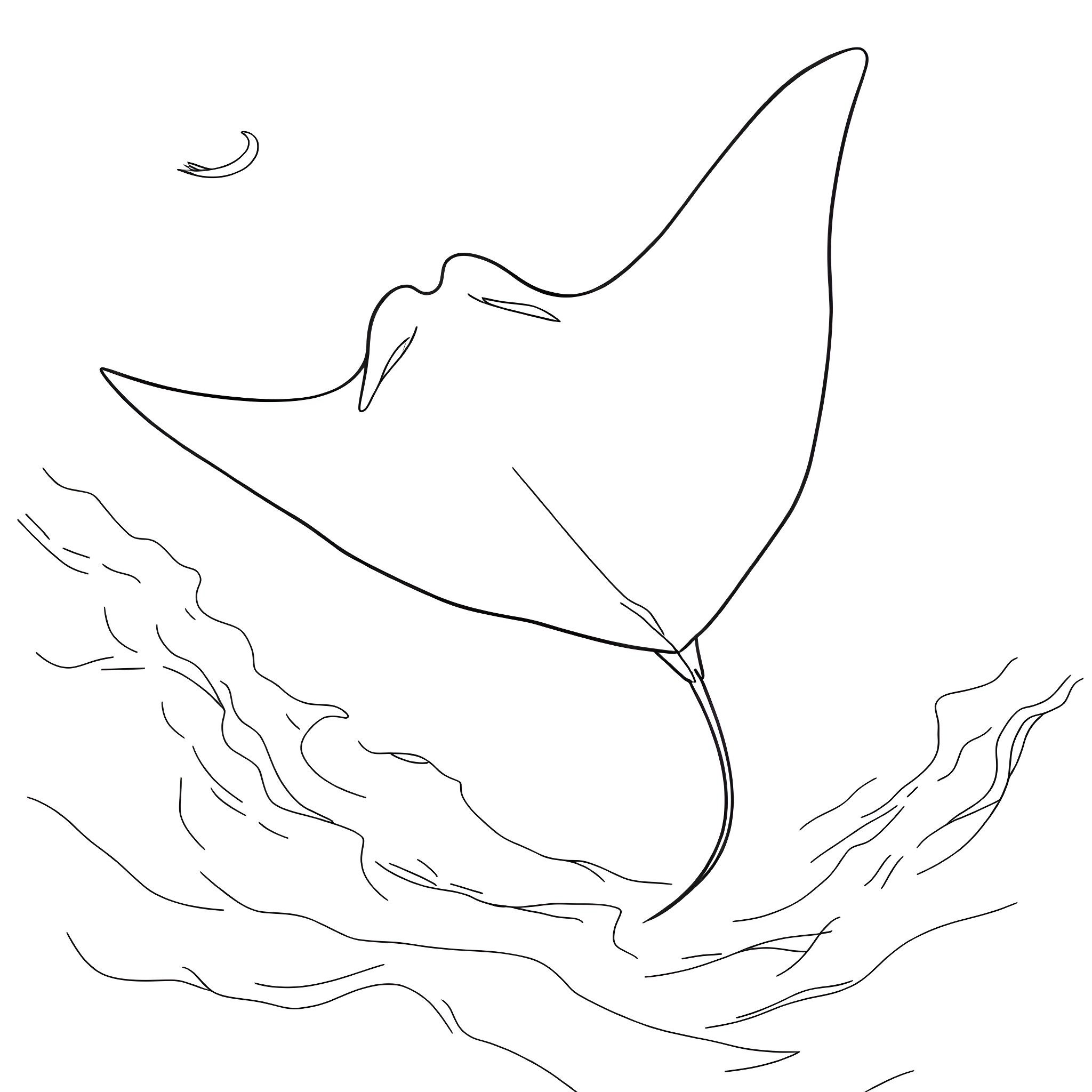 Best Manta Ray Coloring Pages (Free Printable PDF)