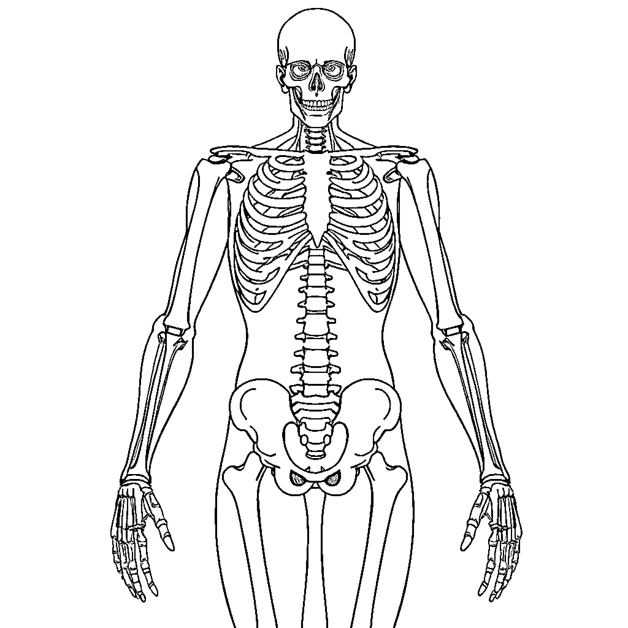 Best Human Body Coloring Pages (Free Printable PDF)