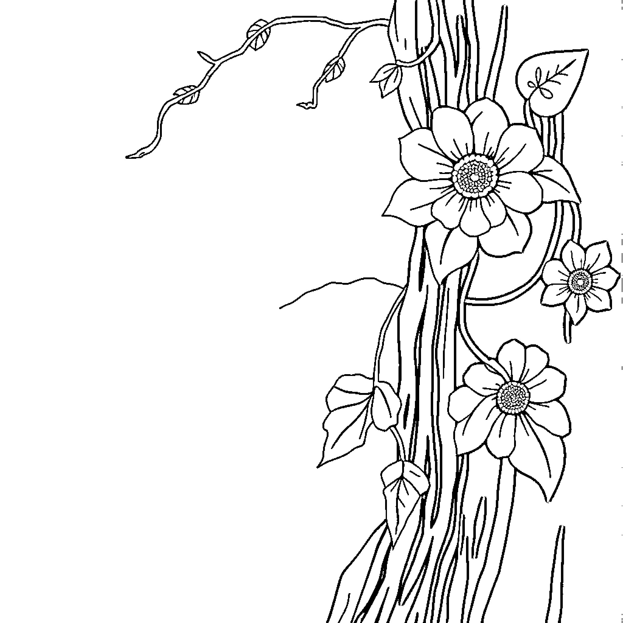 All Coloring Page Collection (With Free Printable PDFs)