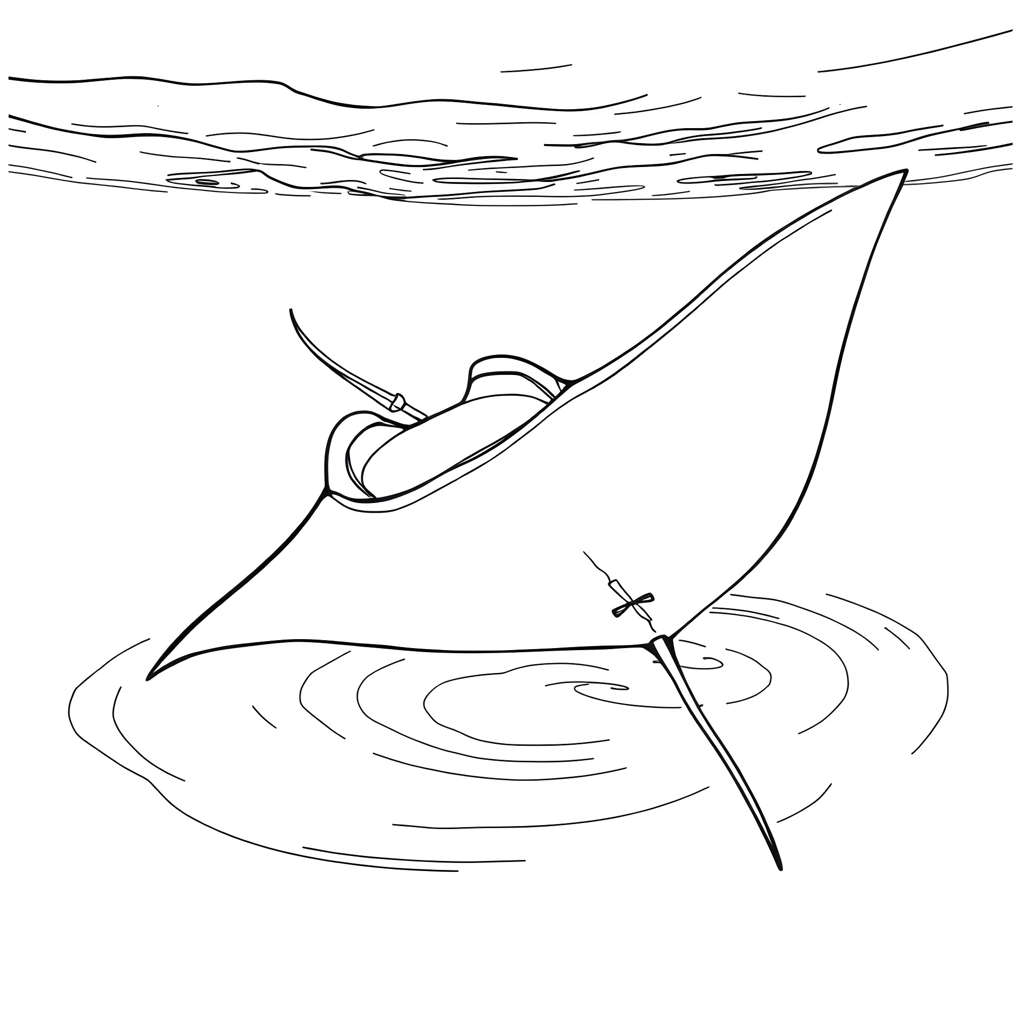 Best Manta Ray Coloring Pages (Free Printable PDF)