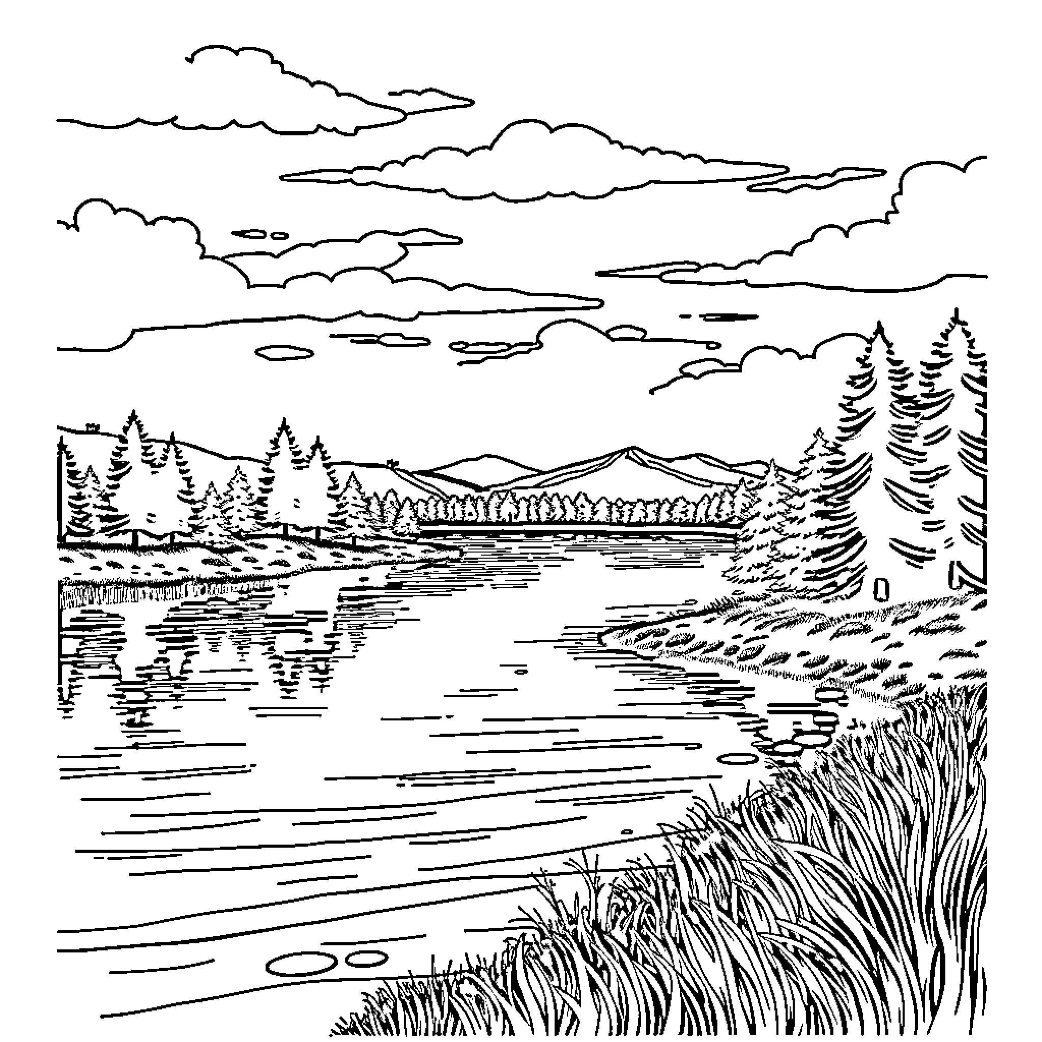 Best Escoba Coloring Pages (Free Printable PDF)