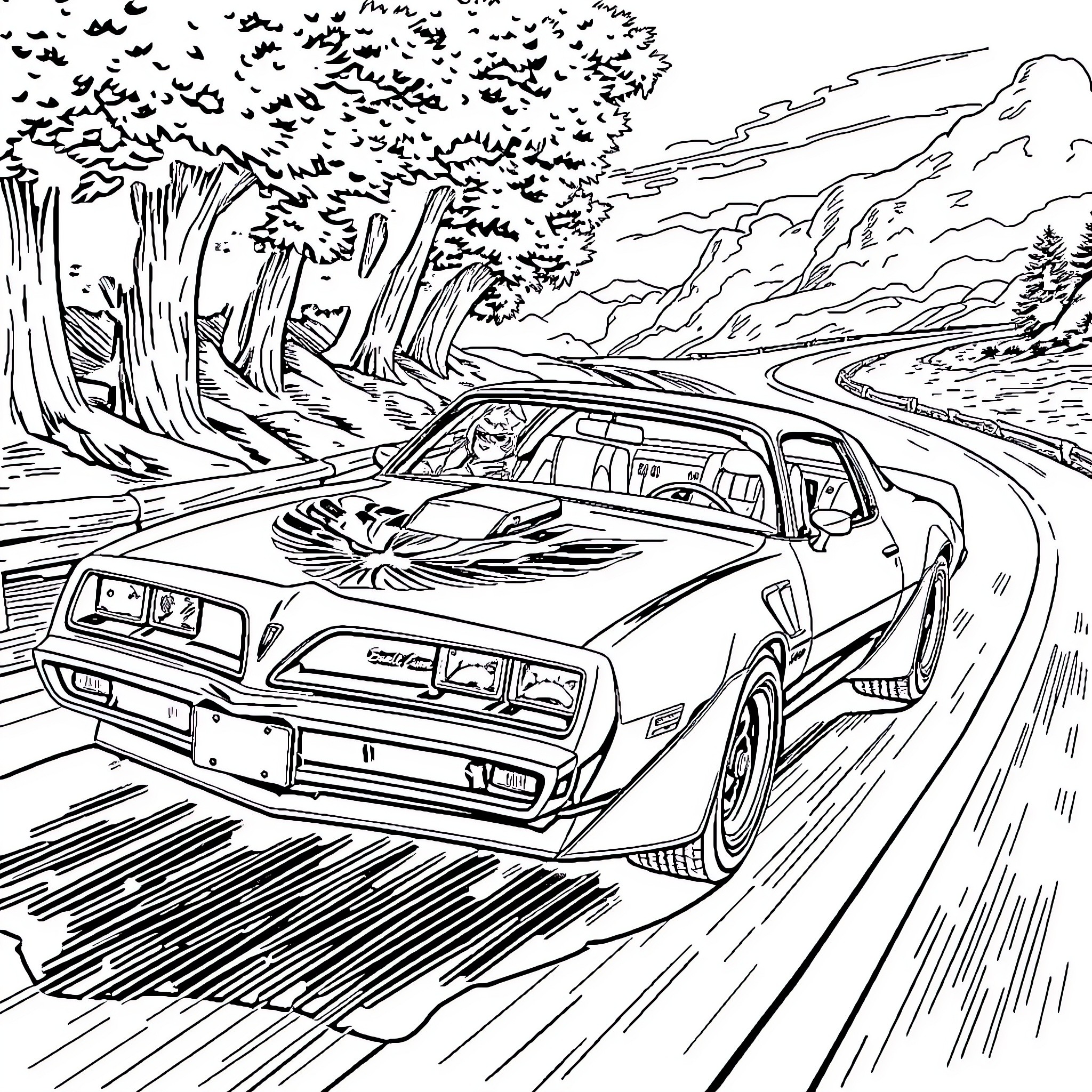 Best Bandit Heeler Coloring Pages (Free Printable PDF)
