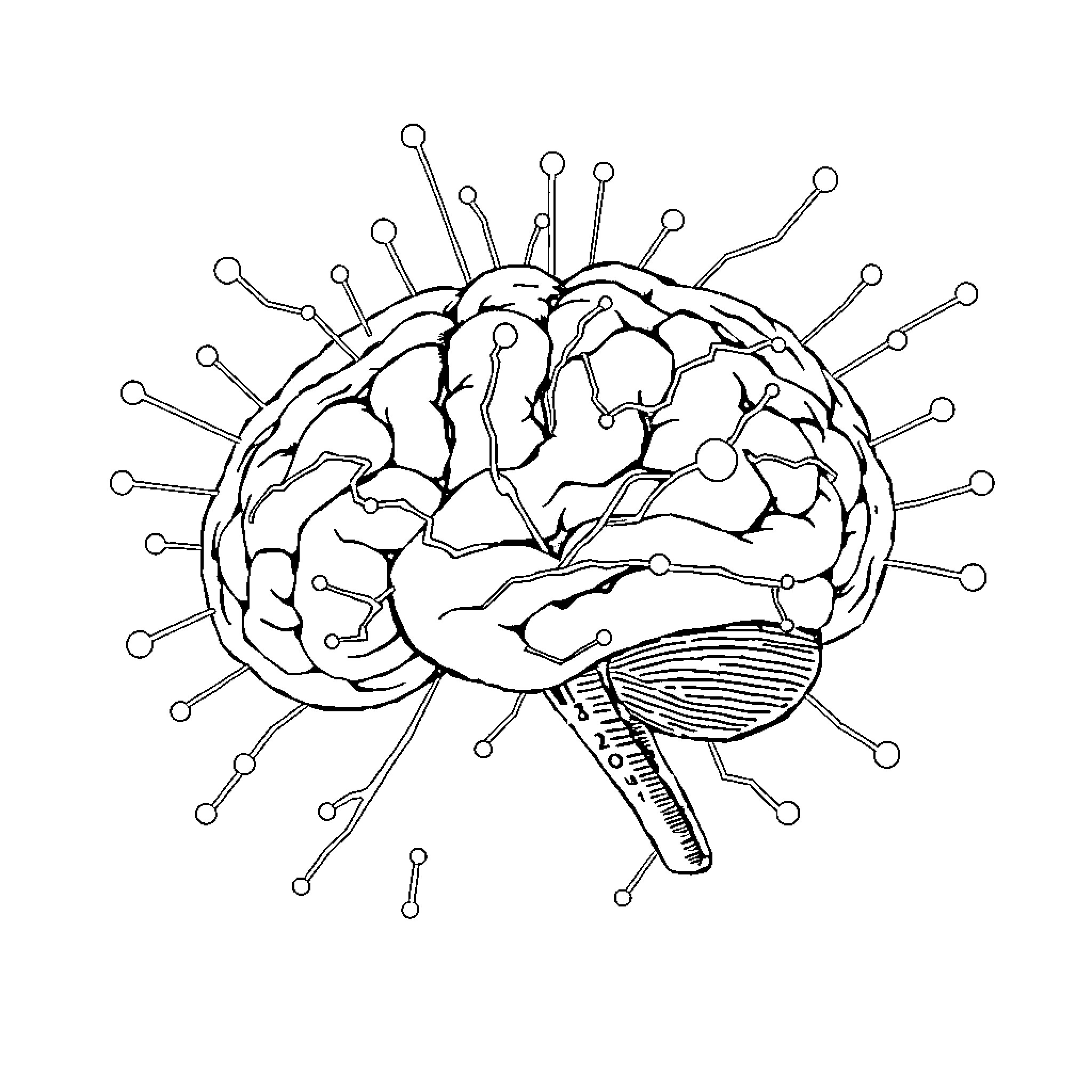 Best Hundrix Coloring Pages (Free Printable PDF)