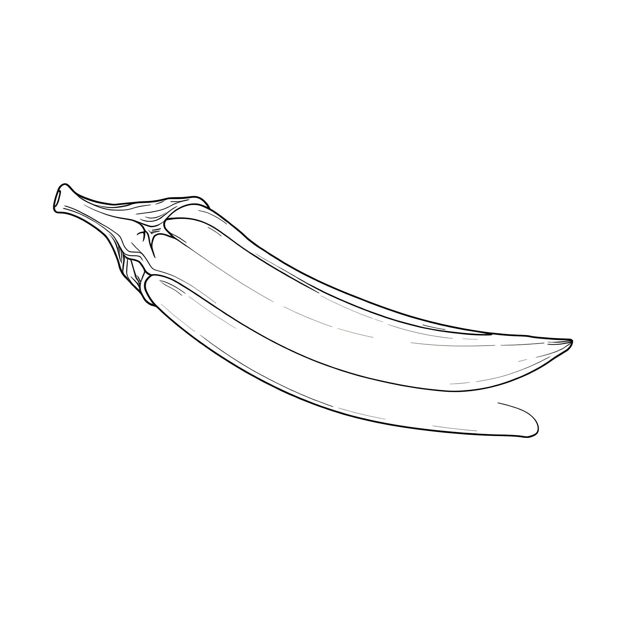 14 Best Okra Coloring Pages (Free Printable PDFs)